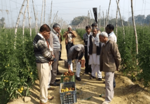 Impact evaluation of Tata Chemicals Society for Rural Development’s ...