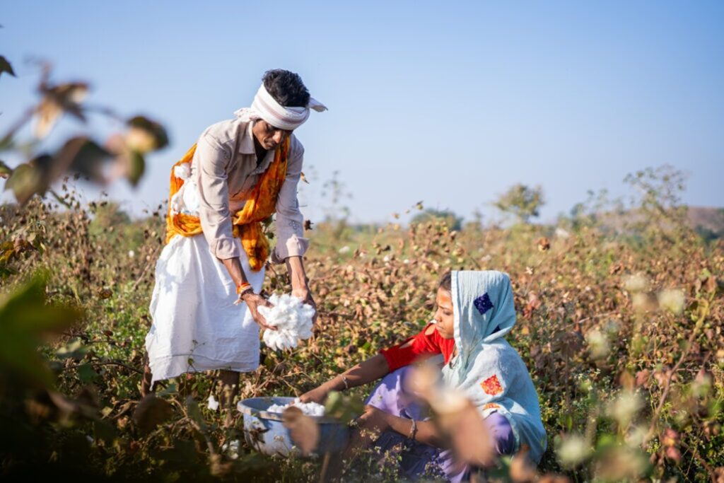 Third Party Verifier (TPV) – OCA Farm Programme in Maharashtra ...