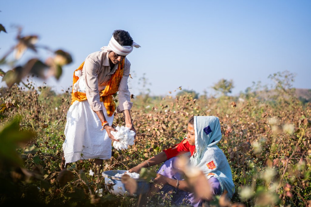 Third Party Verifier (TPV) – OCA Farm Programme in Maharashtra ...